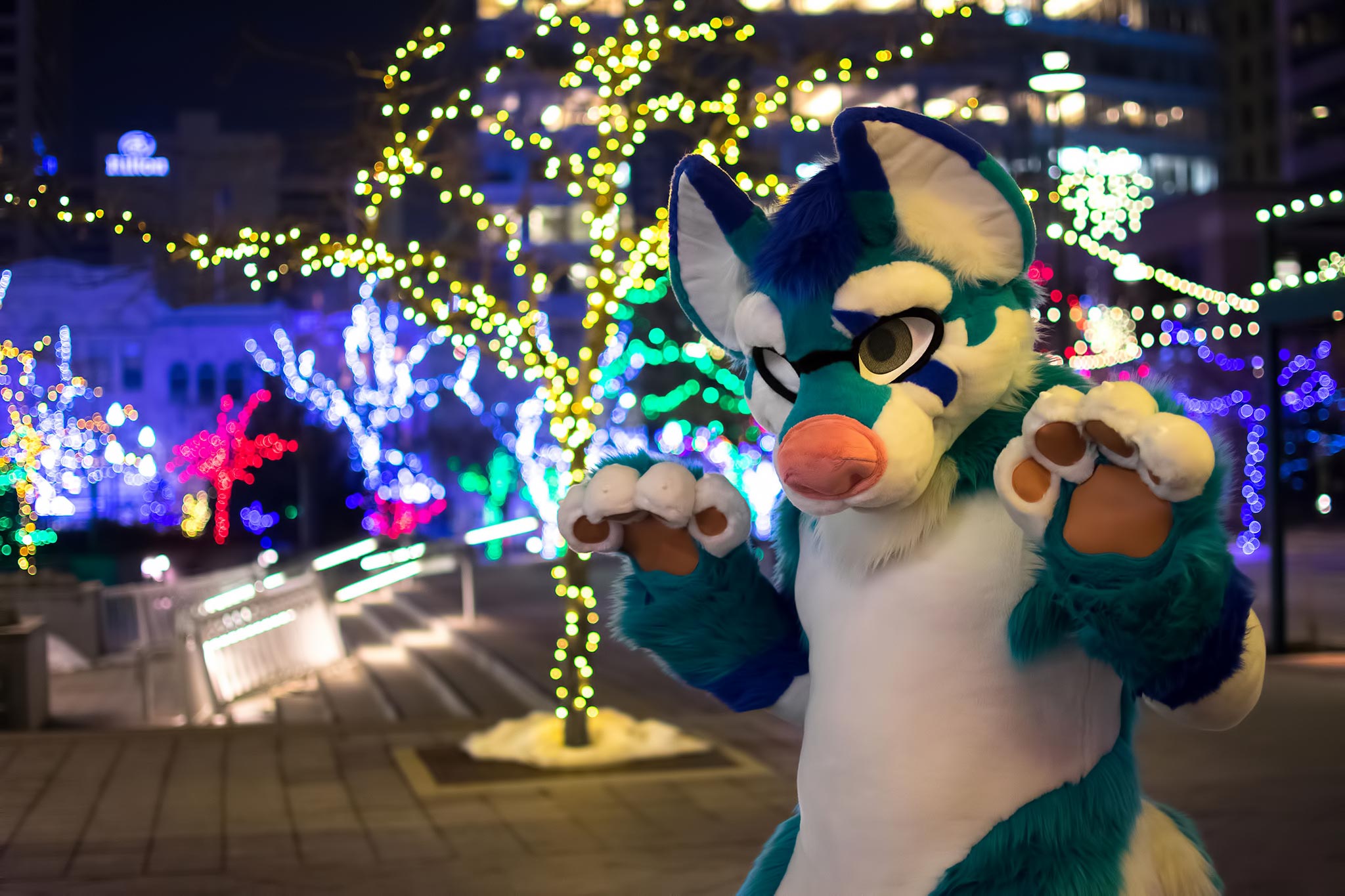 Contact Us - U2F2 - United Utah Furry Fandom